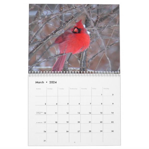 Cardinal Wall Calendar | Zazzle