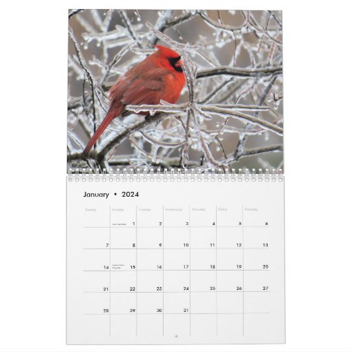 Cardinal Wall Calendar | Zazzle