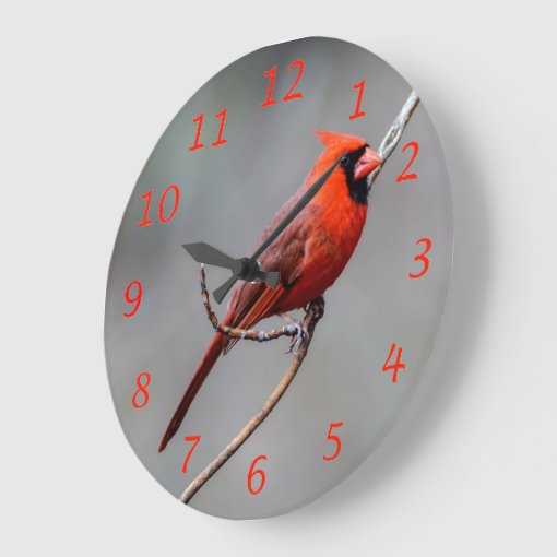 Cardinal Wall Clock | Zazzle