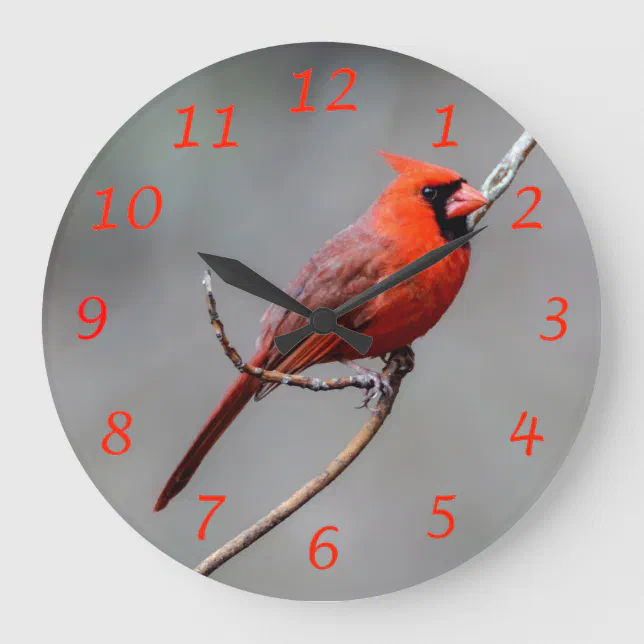 Cardinal Wall Clock | Zazzle
