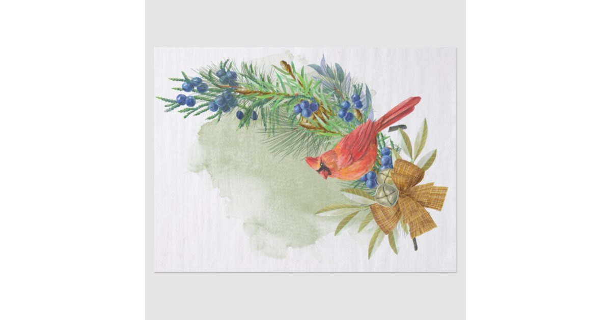 Cardinal Watercolor Tissue Paper | Zazzle