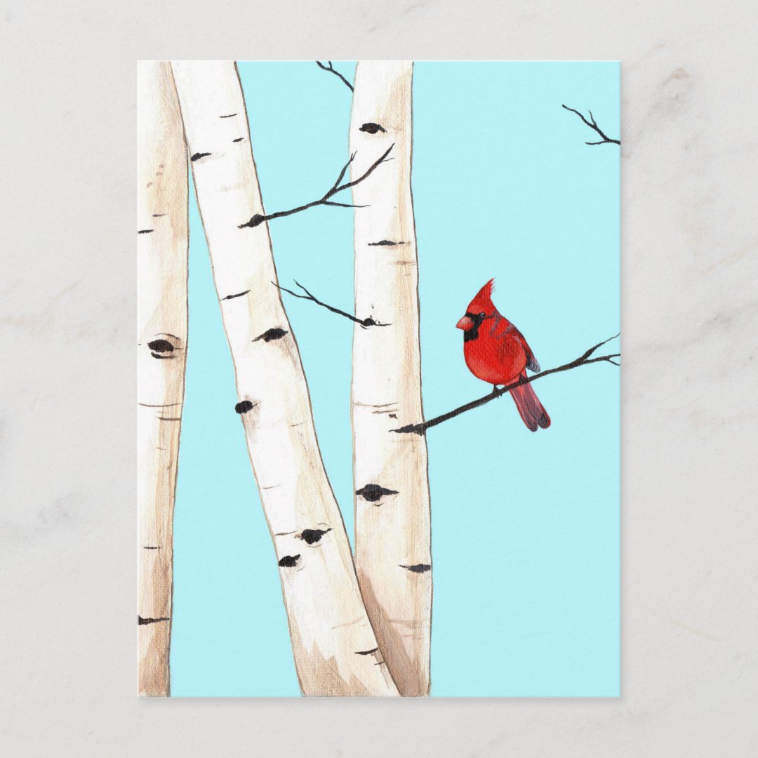 Cardinal with Birch Trees Postcard | Zazzle