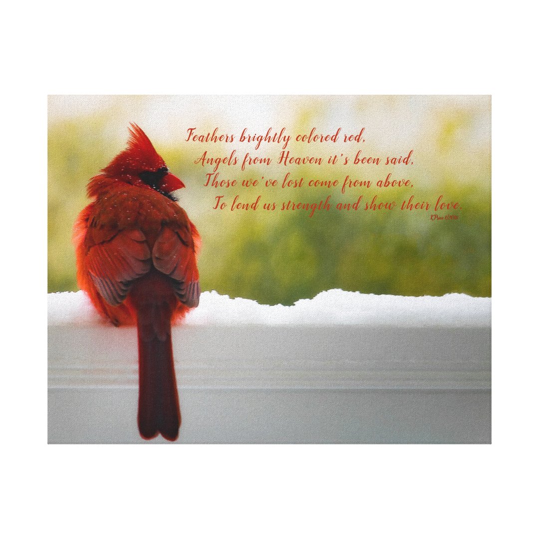 Cardinal with Visitor From Heaven poem 14"x11" Canvas Print | Zazzle