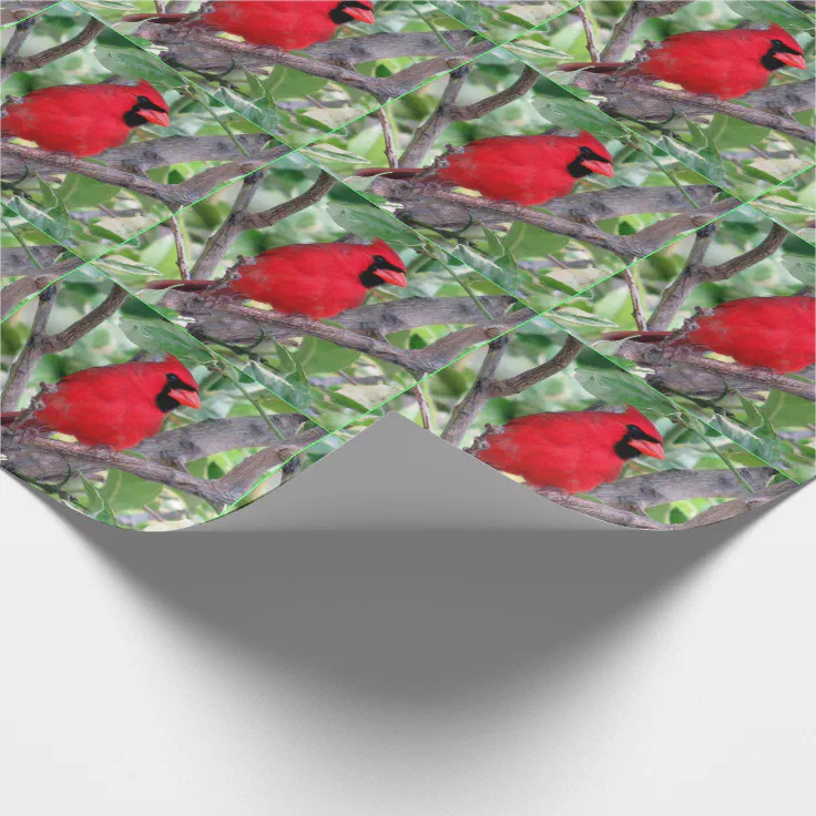 Cardinal Wrapping Paper | Zazzle