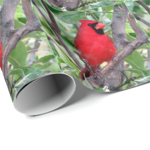 Cardinal Wrapping Paper | Zazzle