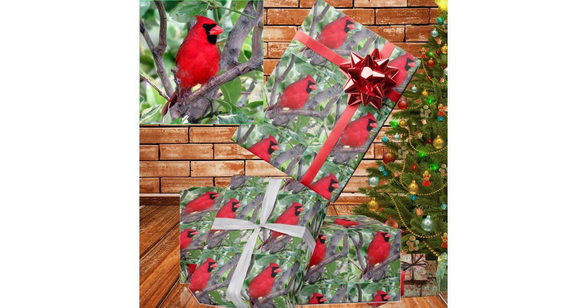 Cardinal Wrapping Paper | Zazzle
