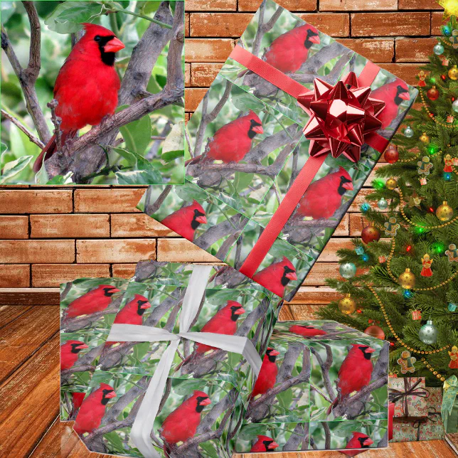 Cardinal Wrapping Paper | Zazzle