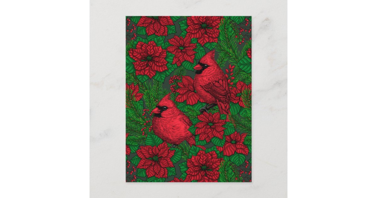 Cardinals and poinsettia for Christmas Postcard | Zazzle