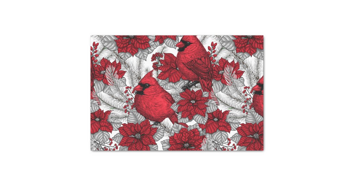 Cardinals and poinsettia in red and white tissue paper | Zazzle