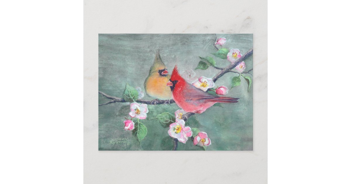 CARDINALS & APPLE BLOSSOMS by SHARON SHARPE Postcard | Zazzle