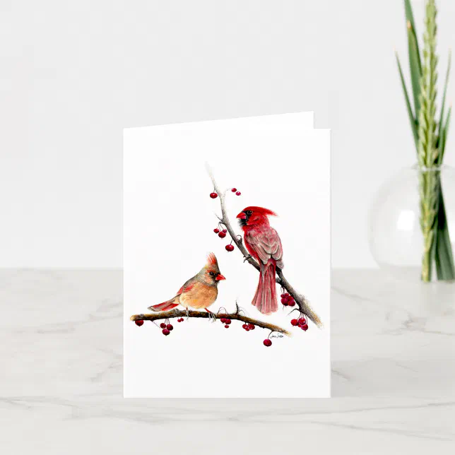 Cardinals Berry Branches Blank Note Or Thank You Card | Zazzle