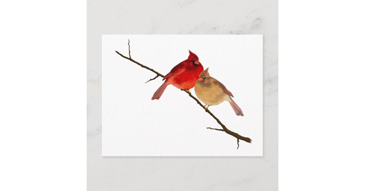 cardinals on a branch postcard | Zazzle