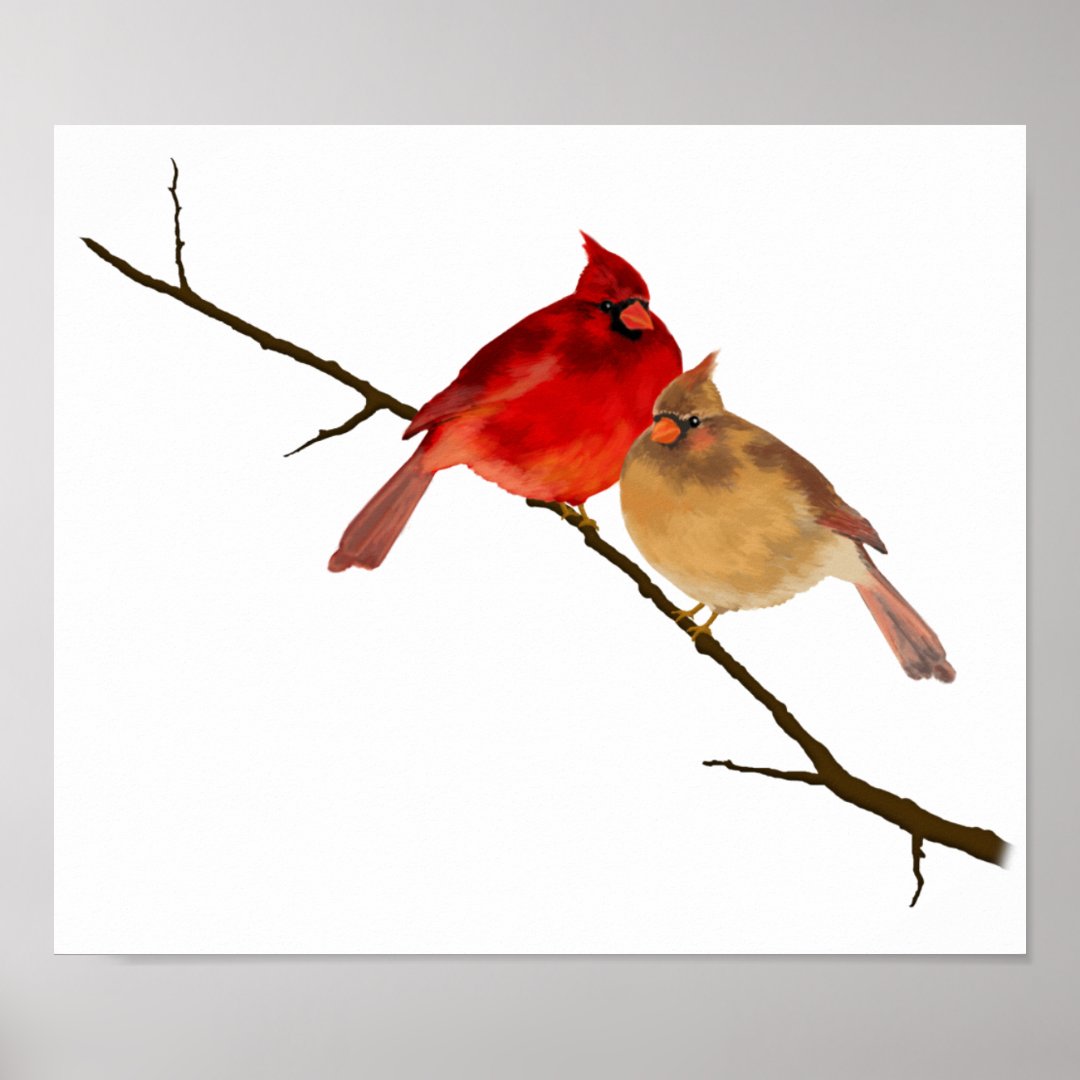 Cardinals Poster | Zazzle