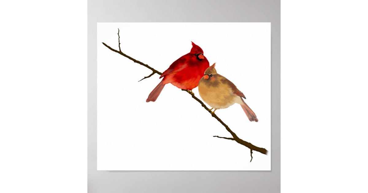 Cardinals Poster | Zazzle