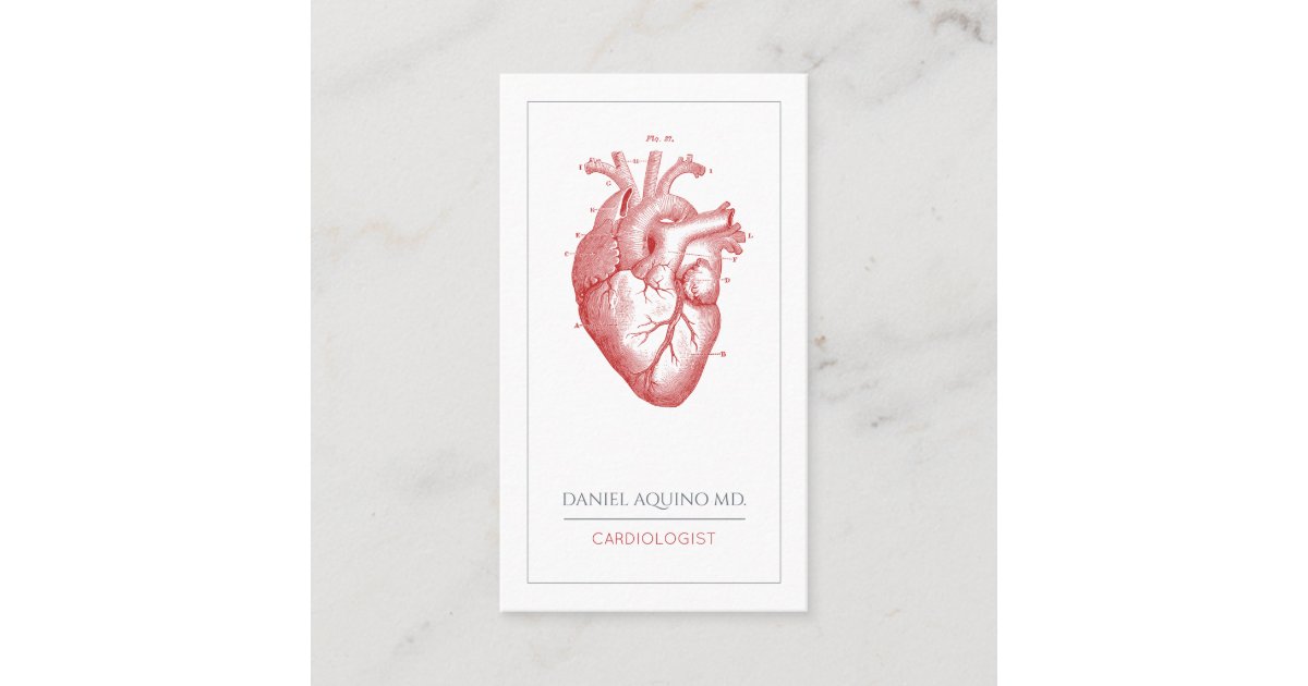 Cardiologist Doctor Anatomical Heart Illustration Business Card | Zazzle