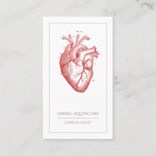Cardiologist Doctor Anatomical Heart Illustration Business Card | Zazzle