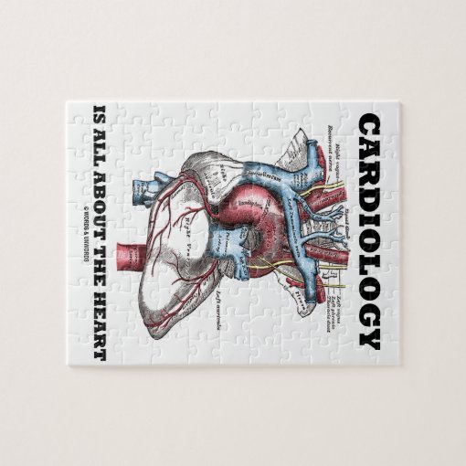 Cardiology Is All About The Heart (Anatomical) Jigsaw Puzzle | Zazzle