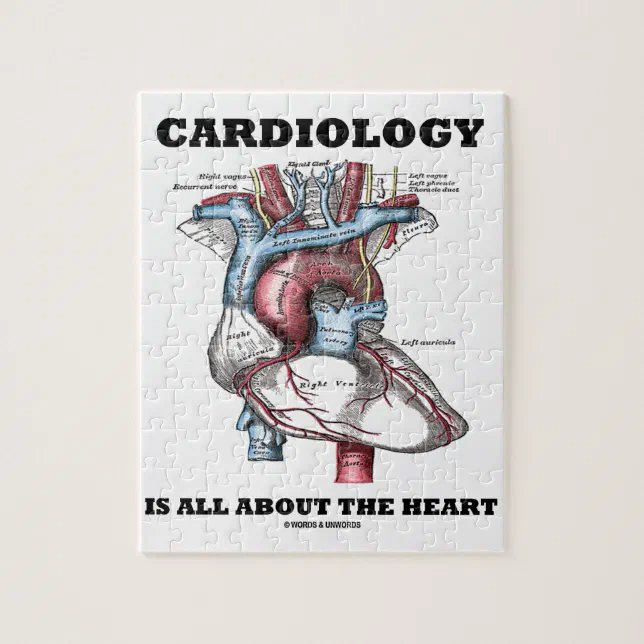 Cardiology Is All About The Heart (Anatomical) Jigsaw Puzzle | Zazzle
