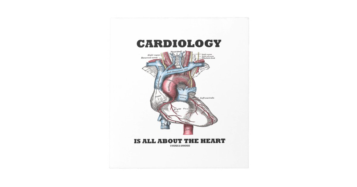 Cardiology Is All About The Heart (Anatomical) Notepad | Zazzle