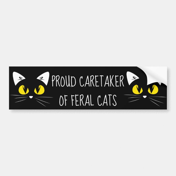 Caretaker of Feral Cats Crazy Cat Lady Bumper Sticker | Zazzle