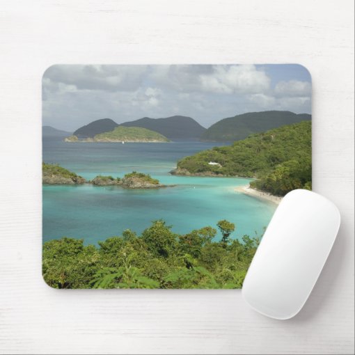 Caribbean, U.S. Virgin Islands, St. John, Trunk Mouse Pad | Zazzle