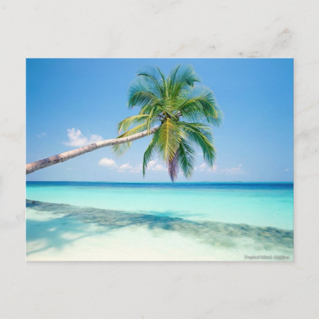 caribean beach post card | Zazzle