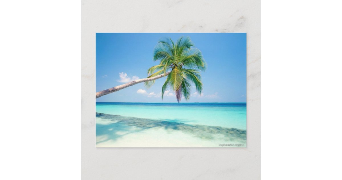 caribean beach post card | Zazzle