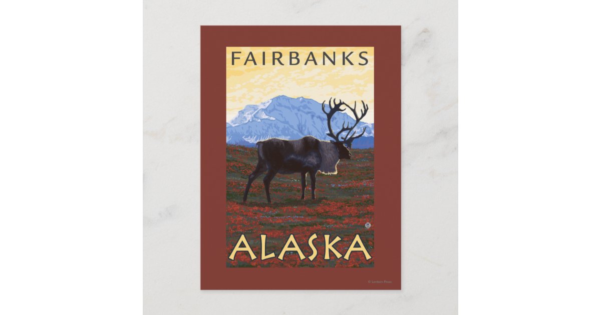 Caribou Scene - Fairbanks, Alaska Postcard | Zazzle