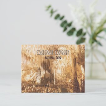 Carlsbad Caverns National Park New Mexico Postcard | Zazzle