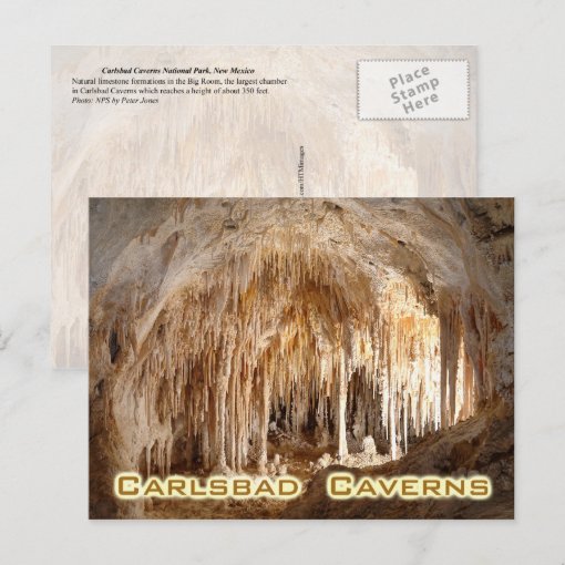 Carlsbad Caverns National Park, New Mexico Postcard | Zazzle