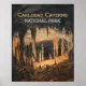 Carlsbad Caverns National Park New Mexico Poster | Zazzle