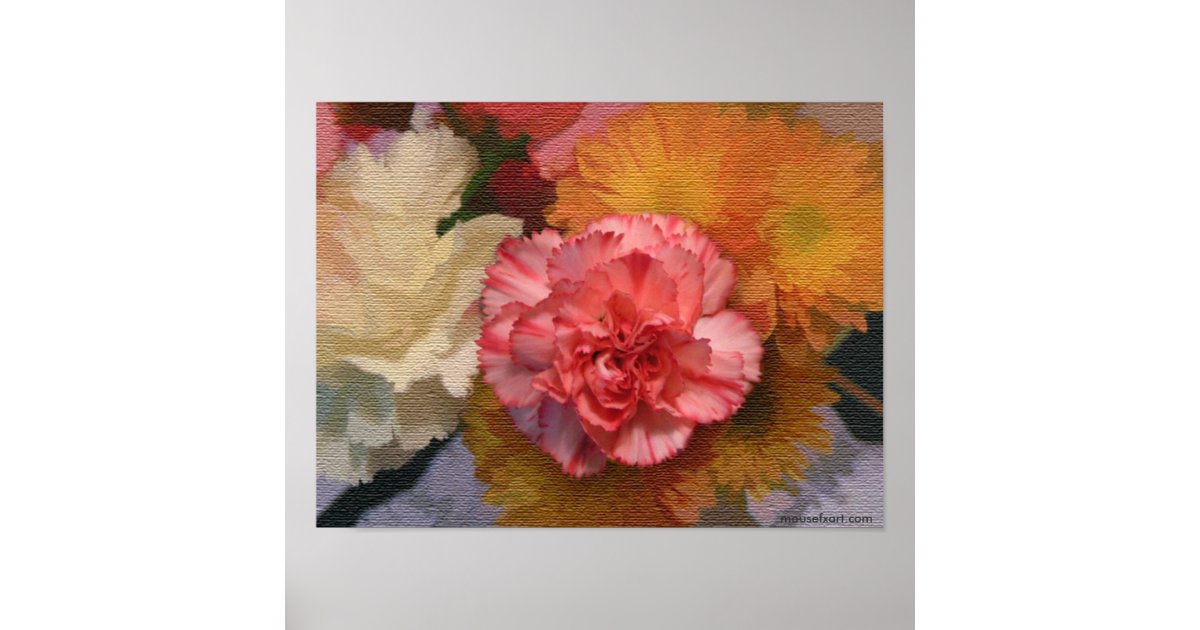 Carnation Poster | Zazzle
