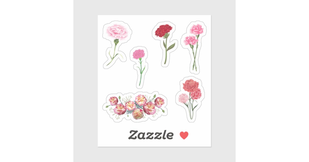 Carnation Stickers | Zazzle
