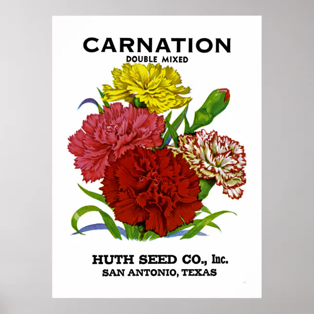 Carnation Vintage Seed Packet Poster | Zazzle