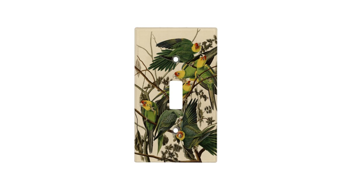 Carolina Parrot from Audubon's Birds of America Light Switch Cover | Zazzle