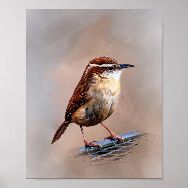Carolina Wren Poster | Zazzle