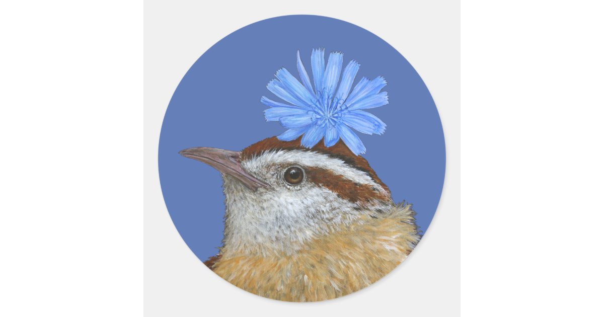 Carolina wren stickers | Zazzle
