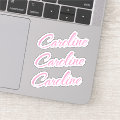 Caroline Decorative Name in Pink x3 Sticker | Zazzle