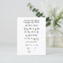 Carolyna Pro Black - Zazzle Font Sampler Sheet Postcard | Zazzle