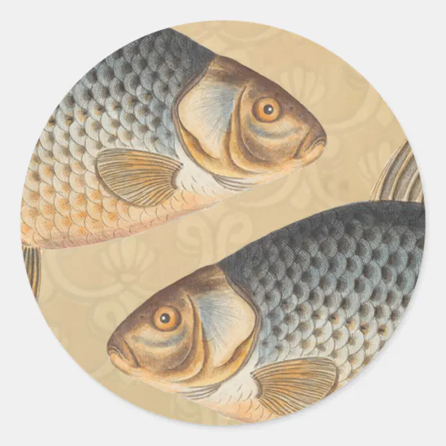 Carp fish fishing painting freshwater classic round sticker | Zazzle