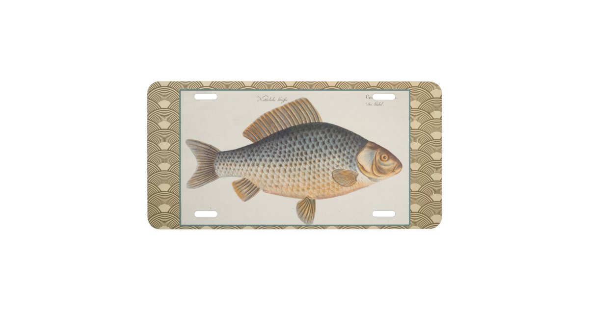 Carp fish fishing painting freshwater license plate | Zazzle