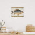 Carp fish fishing painting freshwater poster | Zazzle