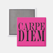Carpe Diem Seize the Day Latin Quote Happiness Magnet | Zazzle
