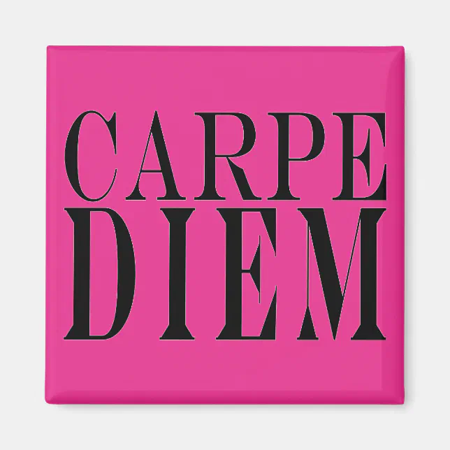 Carpe Diem Seize the Day Latin Quote Happiness Magnet | Zazzle