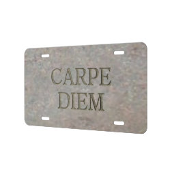 Carpe Diem Stone aluminum car license plate | Zazzle