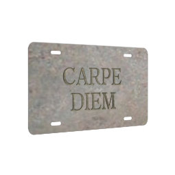 Carpe Diem Stone aluminum car license plate | Zazzle