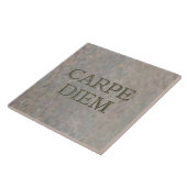 Carpe Diem Stone large tile | Zazzle