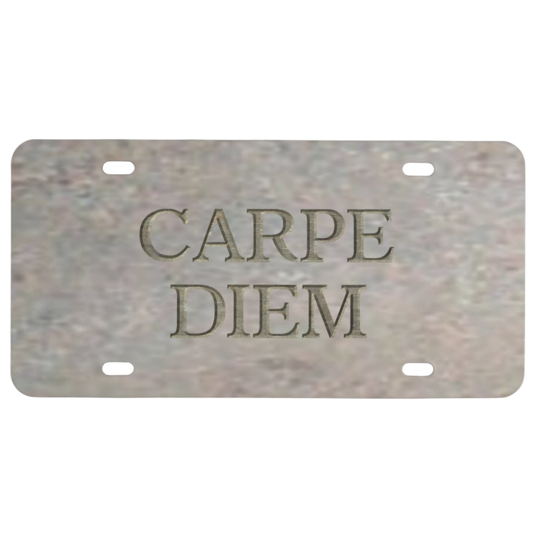 Carpe Diem Stone plastic car license plate | Zazzle