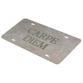 Carpe Diem Stone plastic car license plate | Zazzle