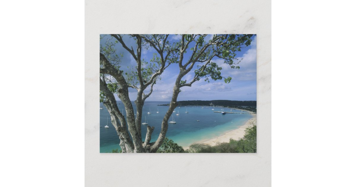 Carribean, Anguilla Island, Road Bay Harbour. Postcard | Zazzle